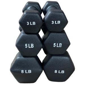 Amber Sporting Goods Barbell Rubber Hex Dumbbell Weights | Strength ...